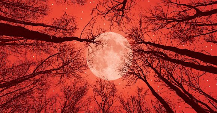 A Sinister Reality: Elizabeth Hand’s Waking the Moon - Reactor