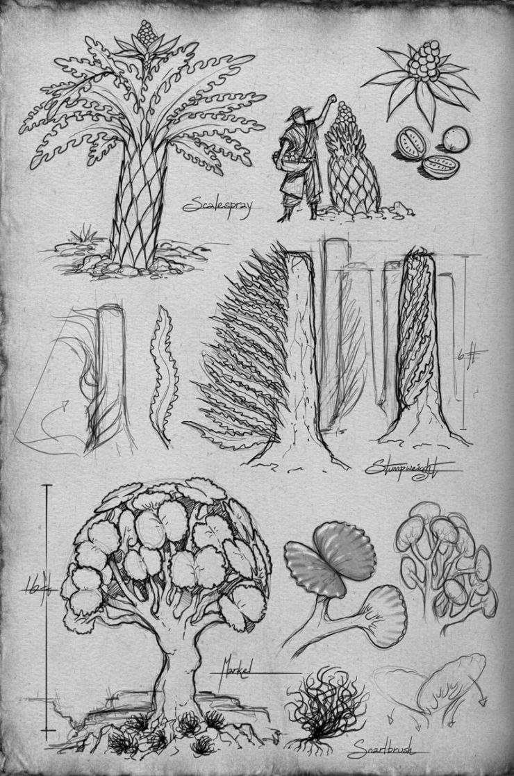 Tree-like Flora